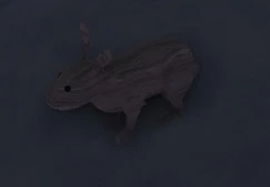 Rabbits | Roblox The New Frontiers Wiki | Fandom