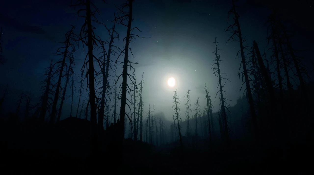 Discuss Everything About ROBLOX The Rake™ Wiki | Fandom