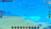 Whale | Roblox The Survival Game Wiki | Fandom