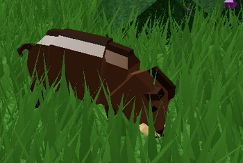 Boar | Roblox The Survival Game Wiki | Fandom