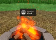 Campfire | Roblox The Survival Game Wiki | Fandom
