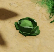 Category:Food | Roblox The Survival Game Wiki | Fandom