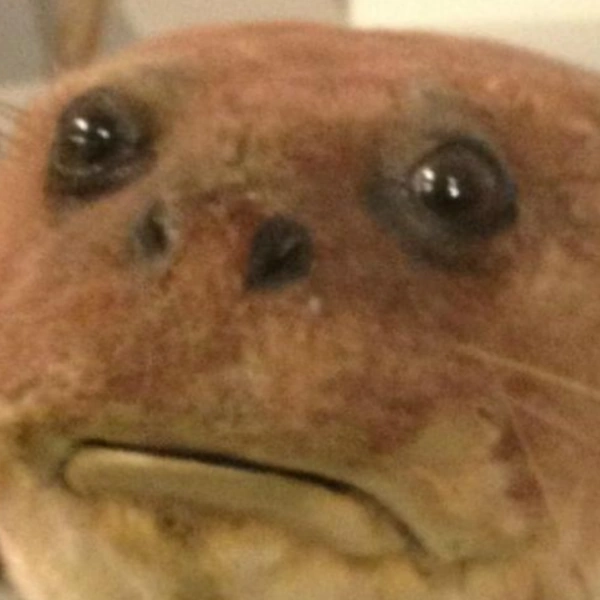 poopi | Tower Battles Wiki | Fandom