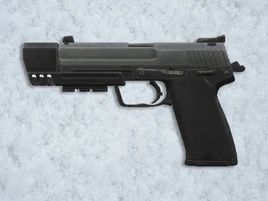 USP Match | Town (Roblox) Wiki | Fandom