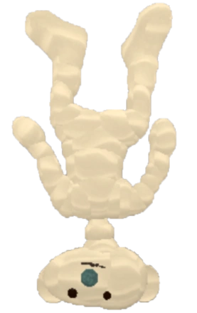 3D Dinnerbone Bear | Roblox Unofficial Bear RP Wiki | Fandom