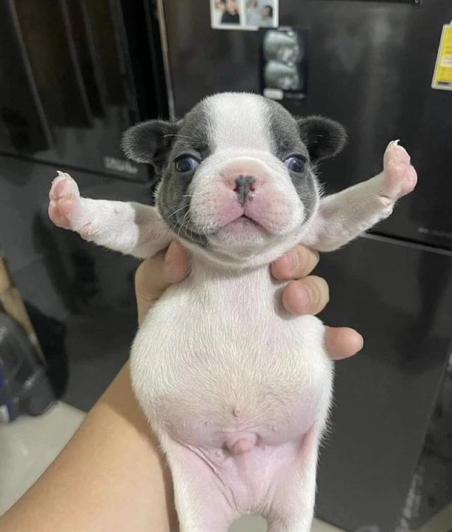 User blog:Garfield/guide: interactive maps | Untitled Tag Game Wiki ...