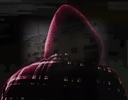 seildirectory | ROBLOX Webseries Wiki | Fandom