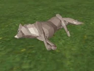 Animals | Westbound roblox Wiki | Fandom