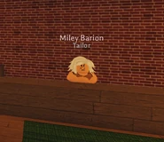 NPCs | Roblox World of Magic Wiki | Fandom