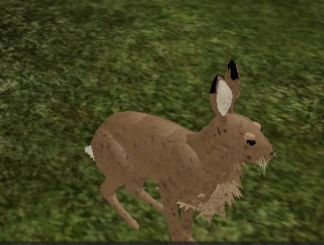 Rabbit | Roblox- Yellowstone Wiki | Fandom