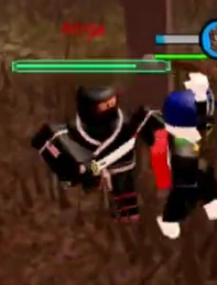 Nobu ninja | Roblox ZOぞ Wiki | Fandom