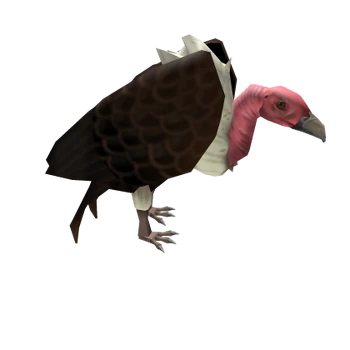 Vulture | Roblox Wiki | Fandom