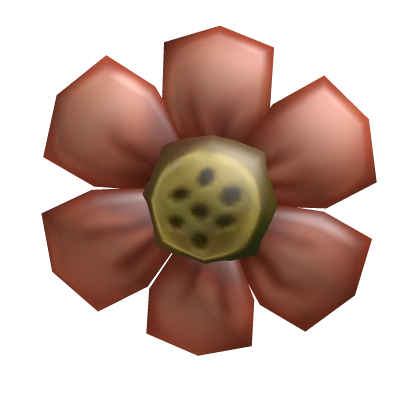 Crazy Clown - Flower | Roblox Wiki | Fandom