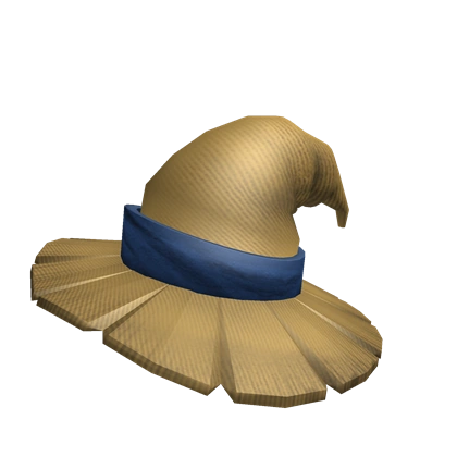 Not-so-wise Wizard | Roblox Wiki | Fandom