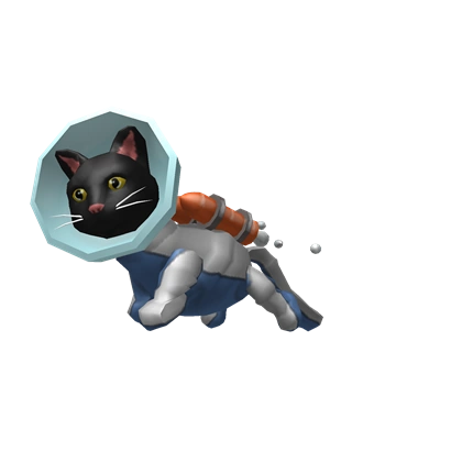 Rocket Cat | Roblox Wiki | Fandom