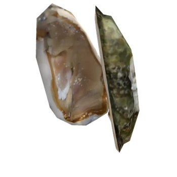 Musclehead | Roblox Wiki | Fandom