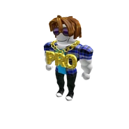 23Sebee | Roblox Wiki | Fandom