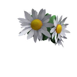 Spring Flower Crown | Roblox Wiki | Fandom