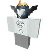 Player:Matt Dusek | Roblox Wiki | Fandom