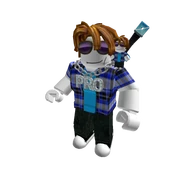 23Sebee | Roblox Wiki | Fandom