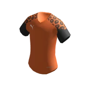 Puma Futureland | Roblox Wiki | Fandom