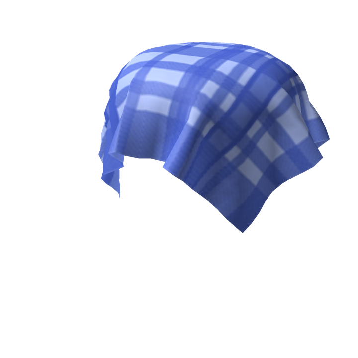 Blue Dishcloth | Roblox Wiki | Fandom