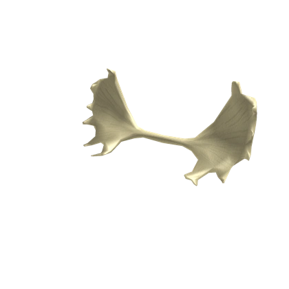 BIG: Bighead Moose Party | Roblox Wiki | Fandom