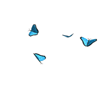 Blue Butterfly Png