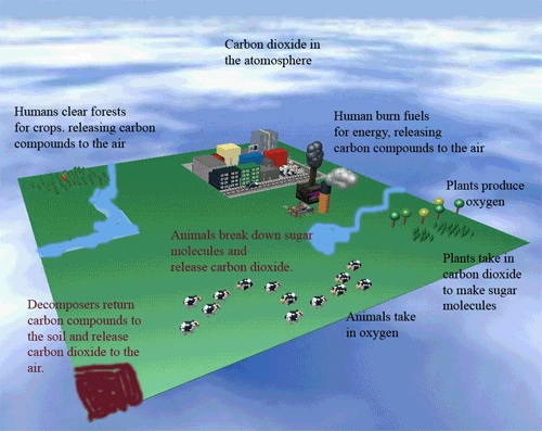 ROBLOX School Project Contest | Roblox Wiki | Fandom