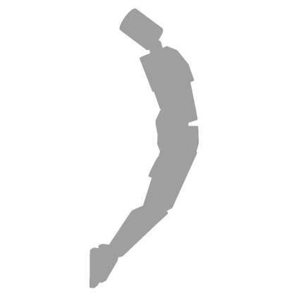 Dolphin Dance | Roblox Wiki | Fandom