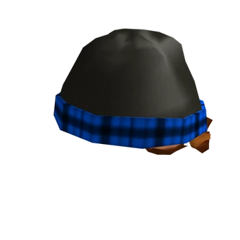 L8r Sk8r | Roblox Wiki | Fandom