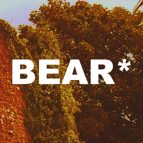 BEAR* | Roblox Wiki | Fandom