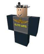DrewsomeB | Roblox Wiki | Fandom