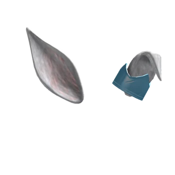 Royal Winter Rabbit Ears | Roblox Wiki | Fandom