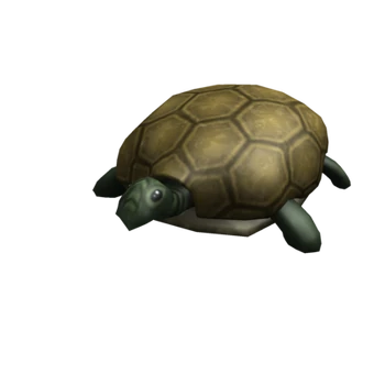 Turtle Shoulder Friend | Roblox Wiki | Fandom
