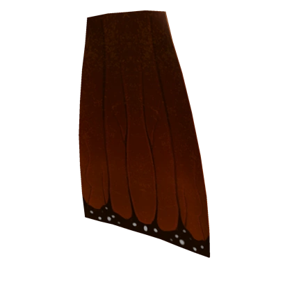 InsectZoids: Mad Butterfly - Cloak | Roblox Wiki | Fandom