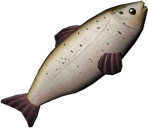 Slappy Salmon | Roblox Wiki | Fandom