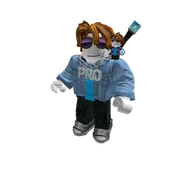 23Sebee | Roblox Wiki | Fandom