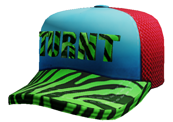 Canceled items/Accessories/2015 | Roblox Wiki | Fandom