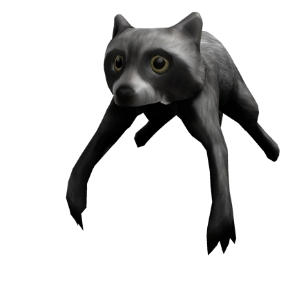 Ridiculous Raccoon | Roblox Wiki | Fandom