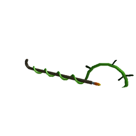 Vine Staff | Roblox Wiki | Fandom