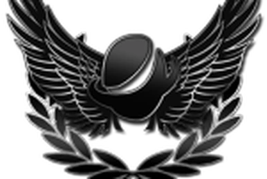 Roblox Vortex Security Logo