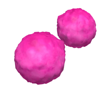 Pink Pom-Poms | Roblox Wiki | Fandom