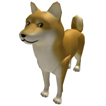 Doge