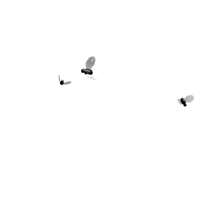 Mr. Toilet - Flies | Roblox Wiki | Fandom