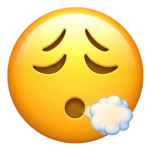 Muzzle' Studios | Roblox Wiki | Fandom