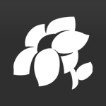 Fullflower Studio | Roblox Wiki | Fandom