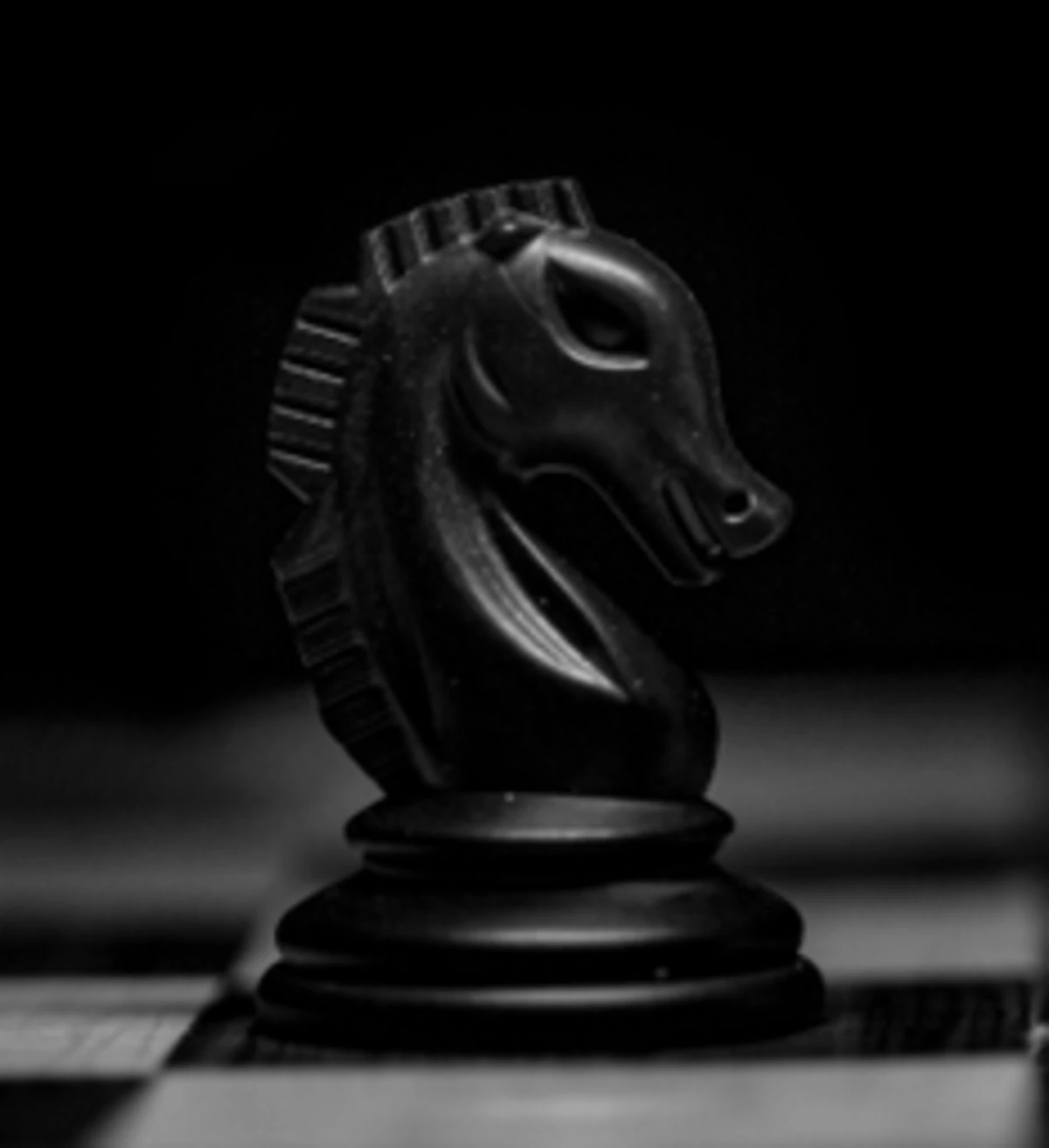 BRAZILIAN SPYDER | Roblox Wiki | Fandom