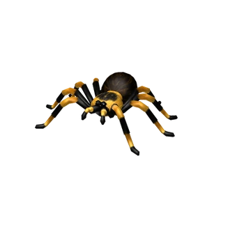 Tarantula Pet | Roblox Wiki | Fandom
