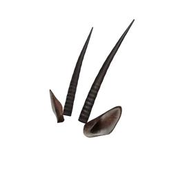 Saola Horns | Roblox Wiki | Fandom